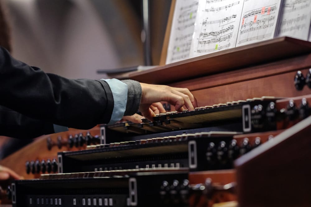 The 10 Most Difficult Musical Instruments to Master (And Why They're ...
