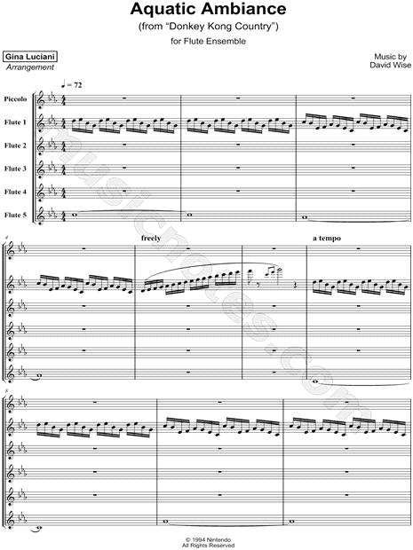 Gina Luciani "Aquatic Ambiance (from Donkey Kong Country) - Flute ...